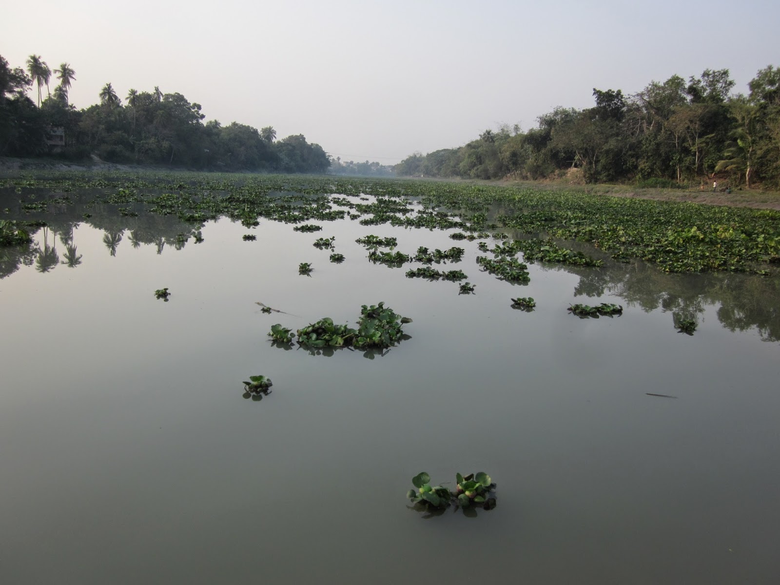 Village Flute: A River to Get Lost In