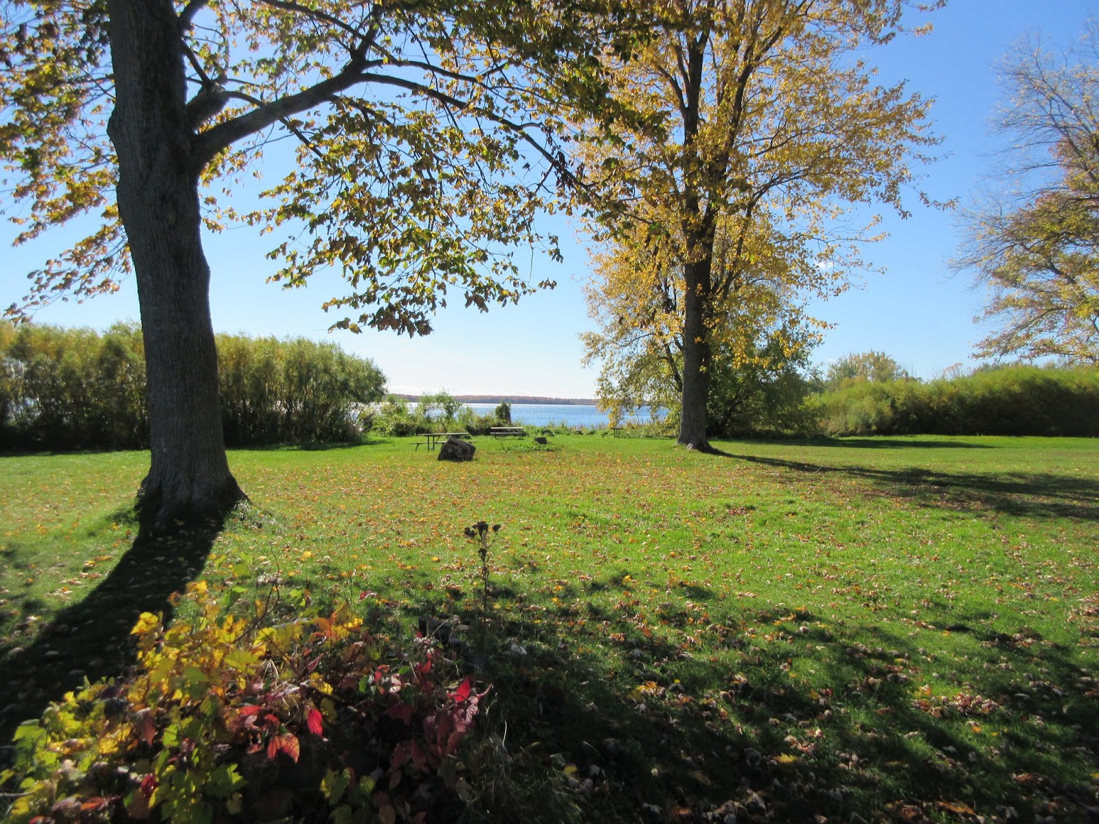 Marlene's Space: Visiting the Long Sault Parkway in Fall