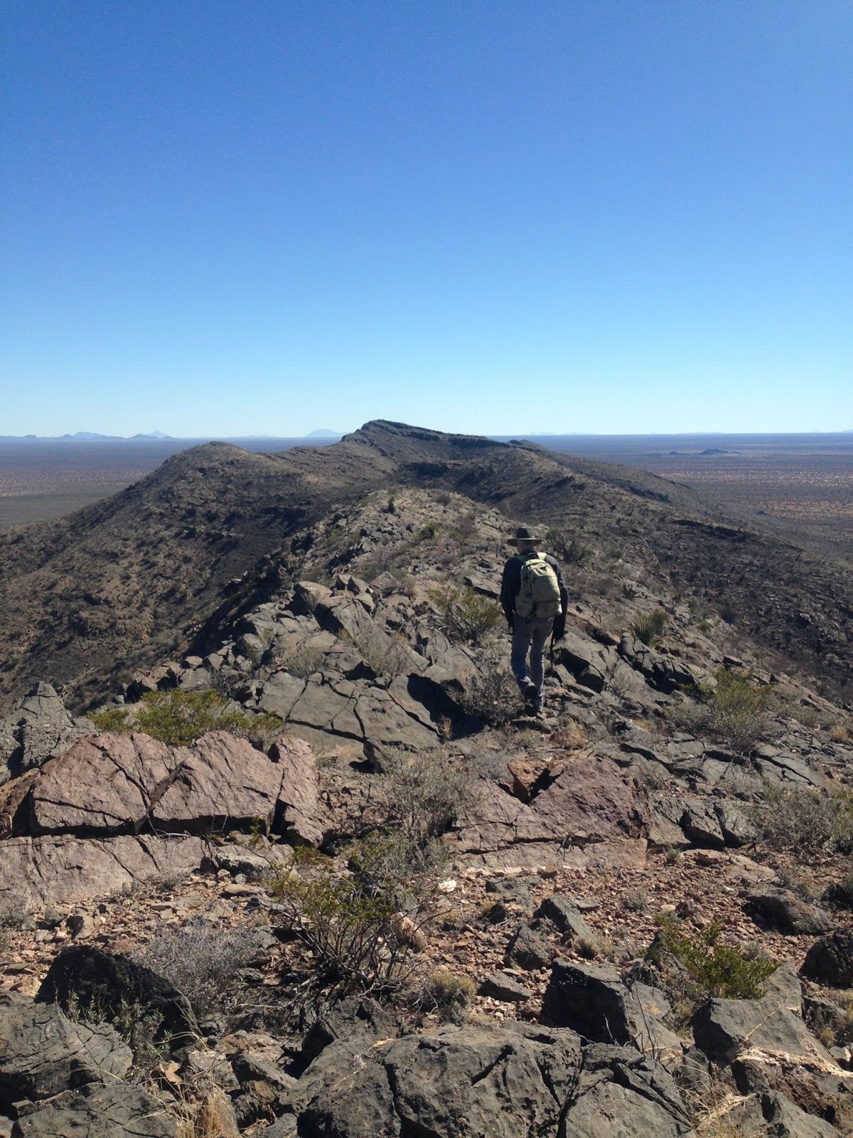 Southern New Mexico Explorer: East Potrillo Wilderness - Organ ...