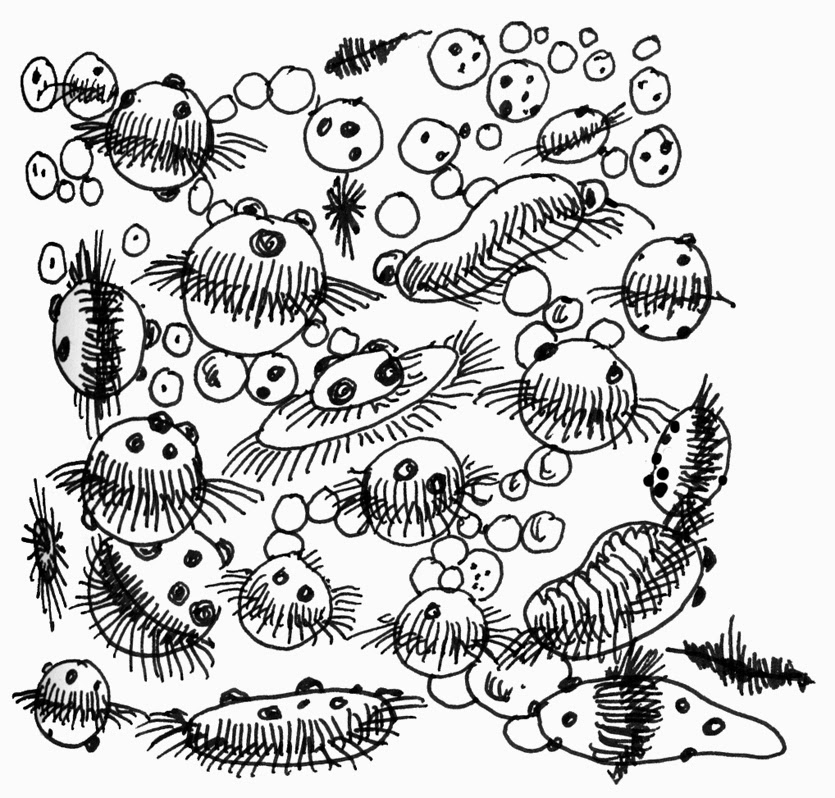 Art By-Products: Protozoa