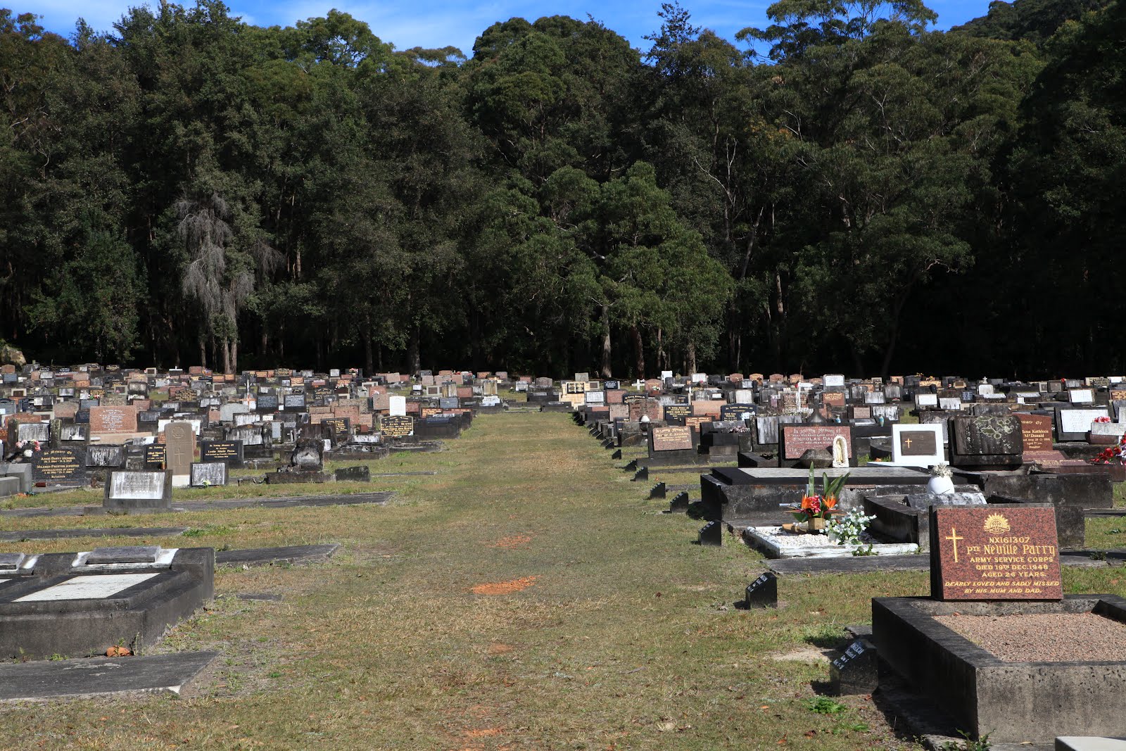 Taphophile Tragics: Taphophile Tragics # 36