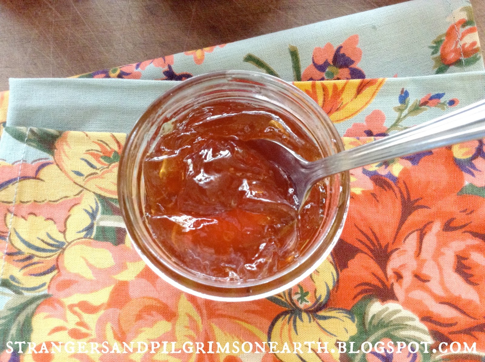 Strangers & Pilgrims on Earth: DIY~ How to Make & Can Fruit Syrups ...