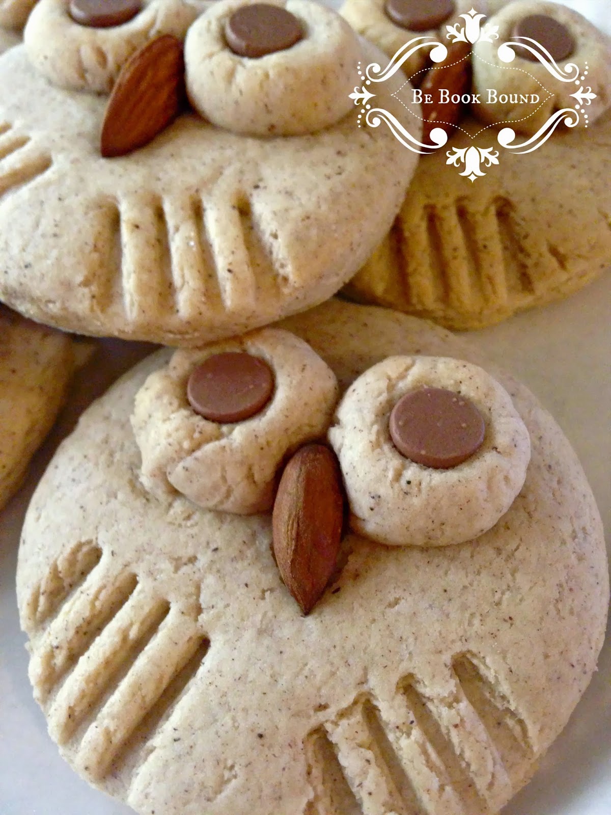 Be Book Bound: From the Cookbook: Owl Cookies