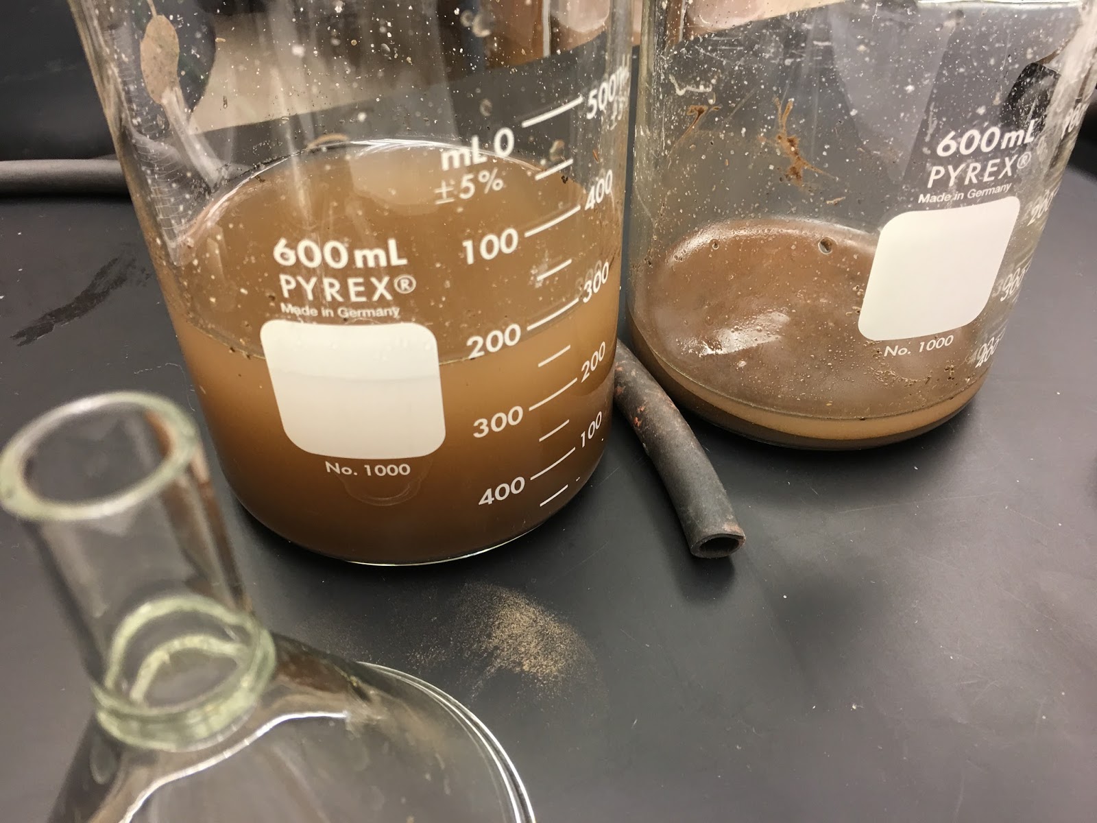 S-STEM Scholar Daisy Rodriguez's Blog: Blog Post Week 5