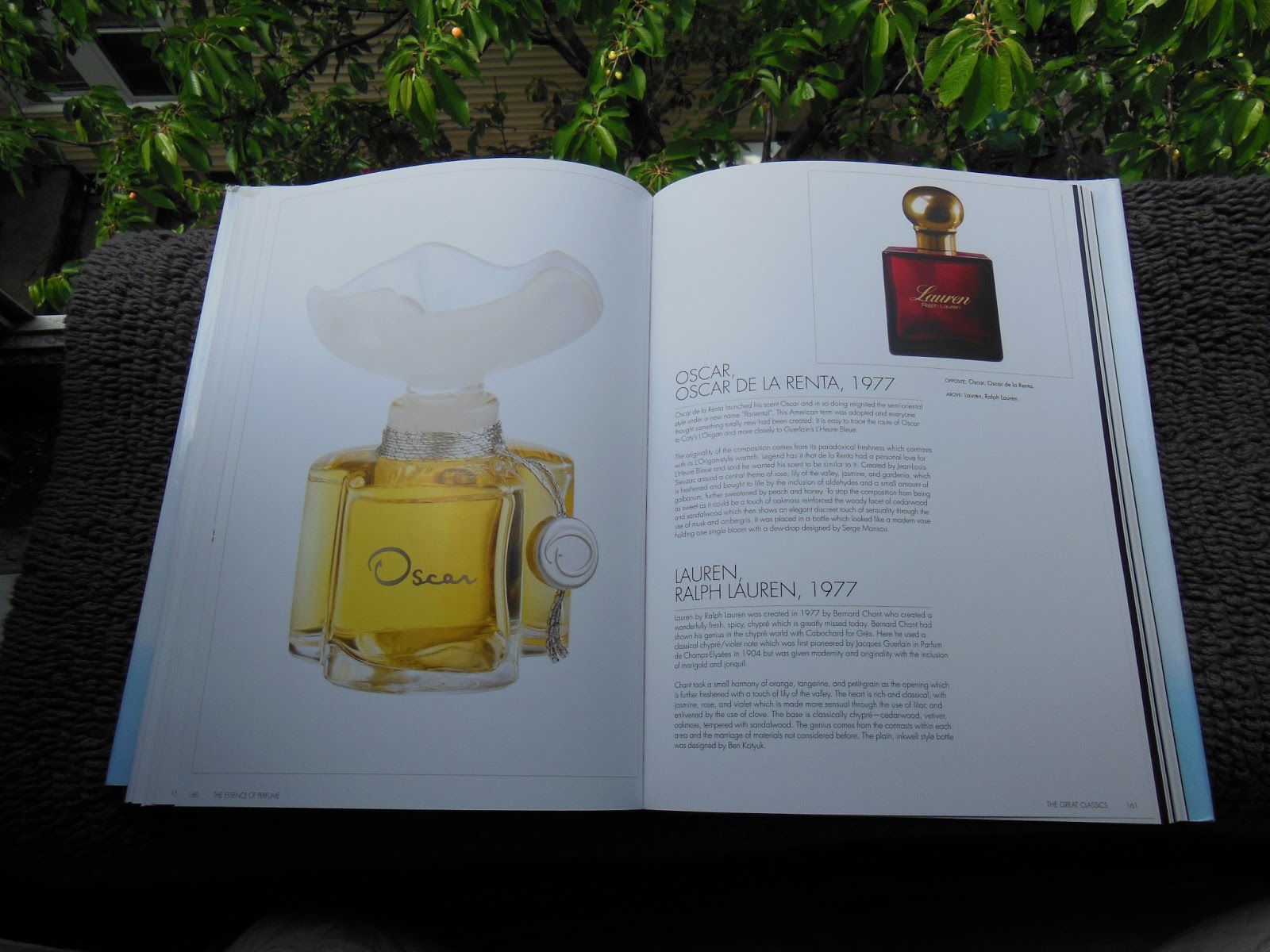 sherapop's salon de parfum: A Perfumista's Perfect Coffee Table Book