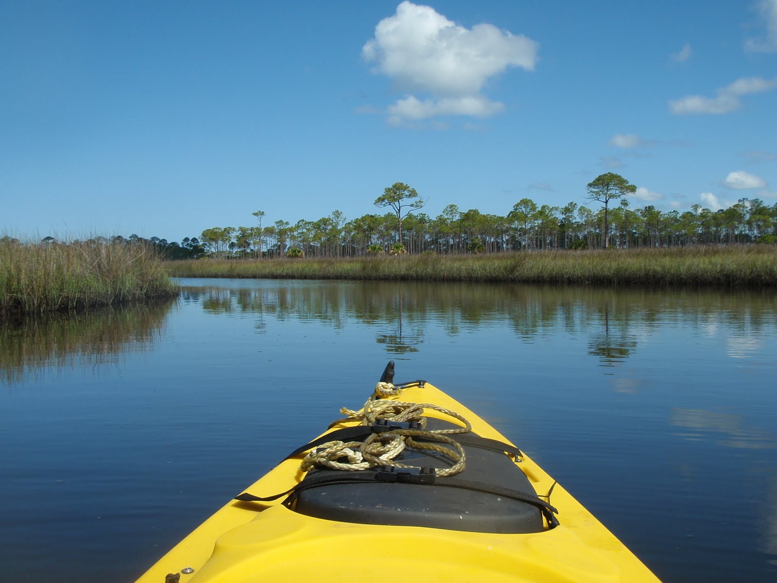 SOUTH GEORGIA KAYAK FISHING: Hagen's Cove near Keaton Beach, FL