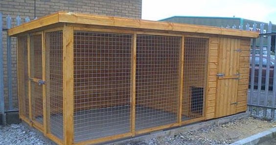 STEPS OF BUILDING A DOG RUN