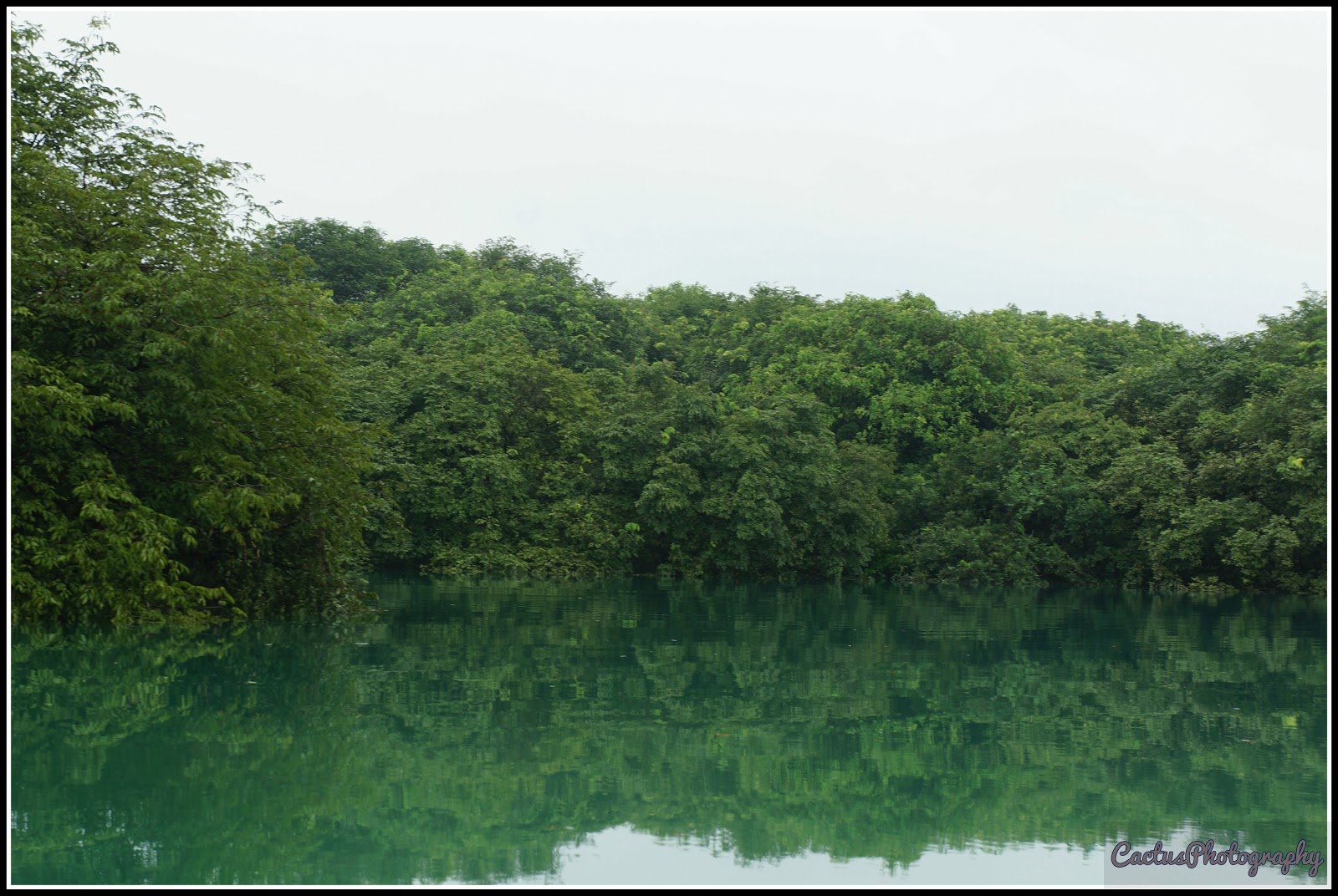 Dhaka to Ratargul Swamp Forest I Best Travel Guide | Trip Navigation ...