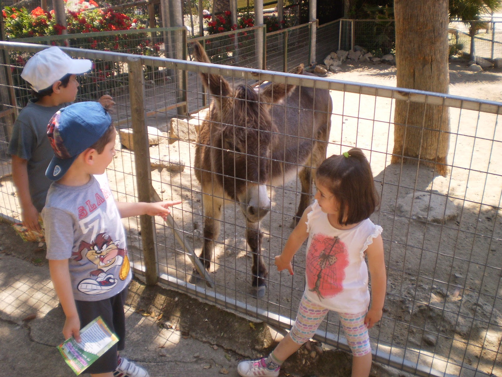 Mi blog de infantil 3 4 5: Excursión al zoo de Guillena