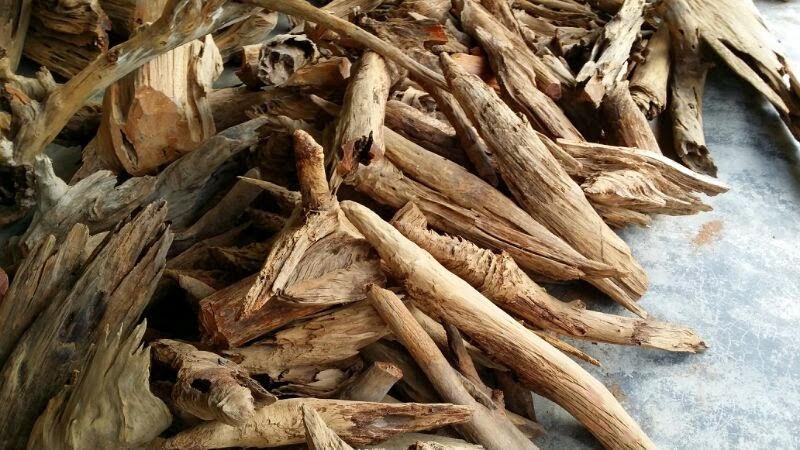 Raja Kayu Malaysia: Kayu Raja (King of Wood) & Gaharu (Agarwood) For SALE!