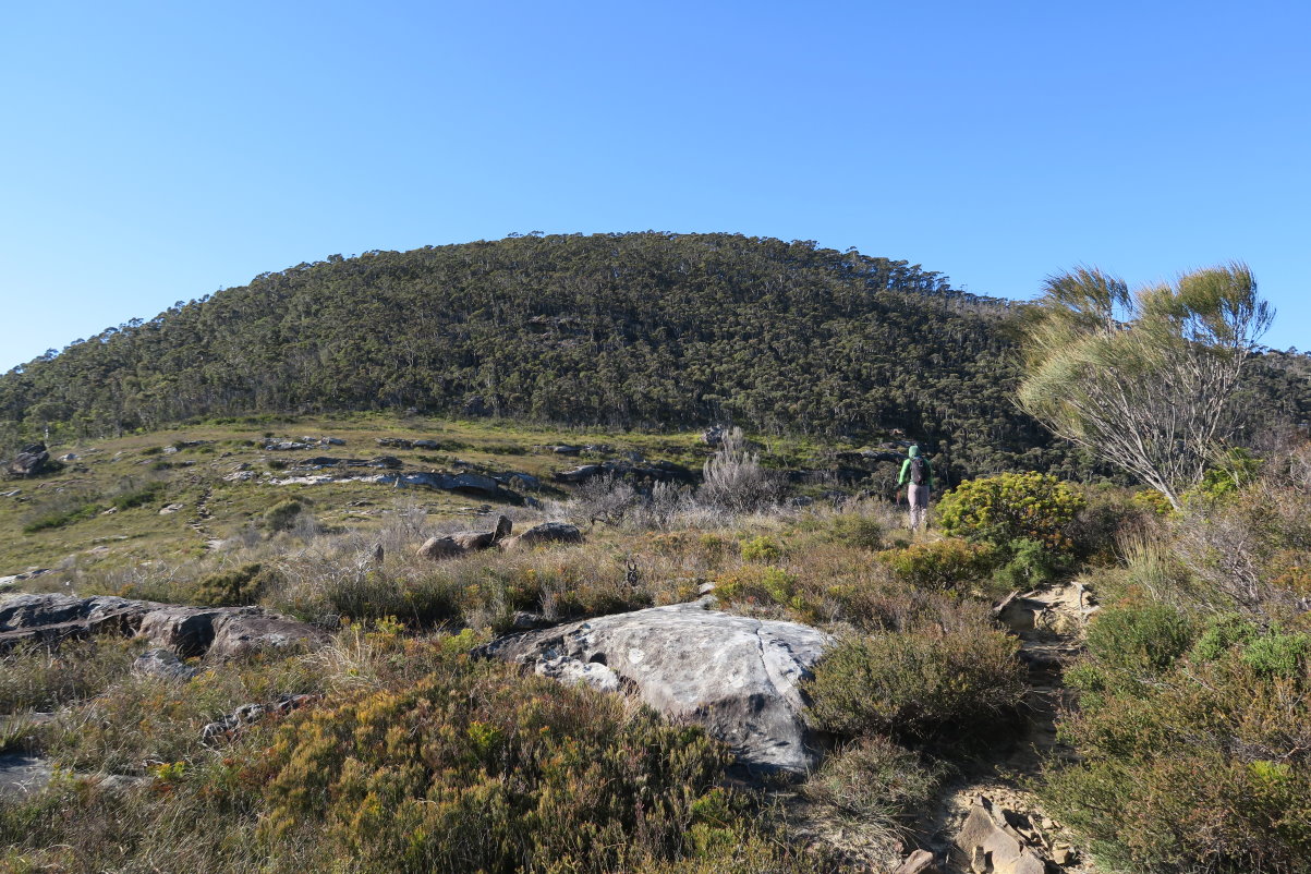 Mountains: Mt Banks & Mt Caley, NSW Blue Mts, Australia