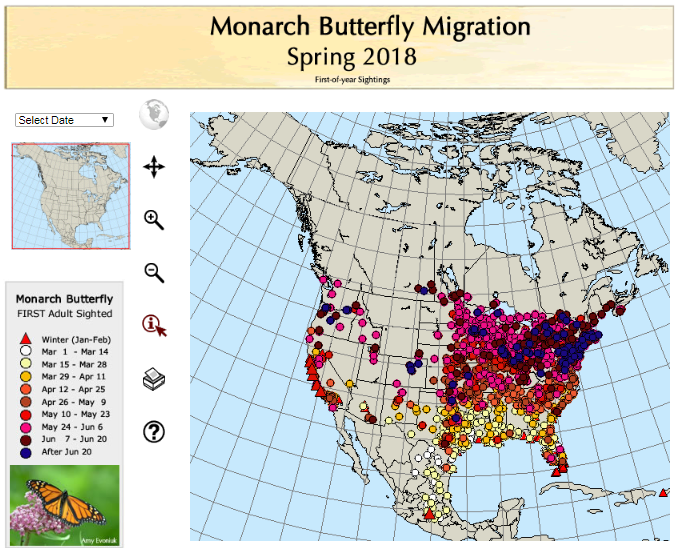 Prairie Pest Monitoring Network Blog: Monarch migration (Jun 28, 2018 ...