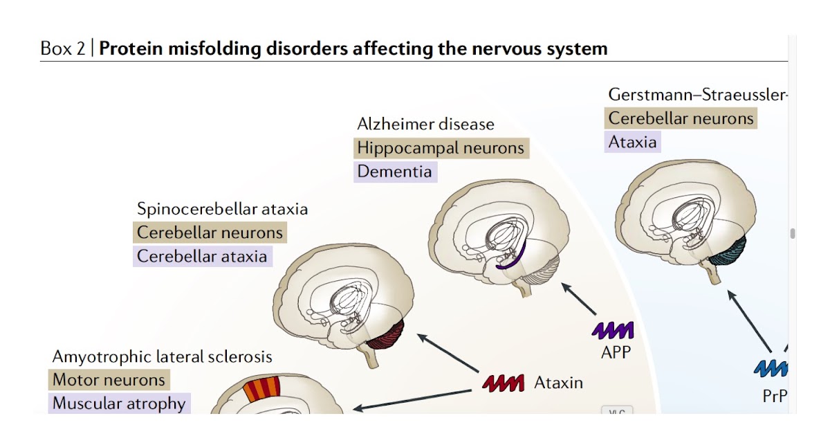 Prions, prionoids and protein misfolding disorders #PMD