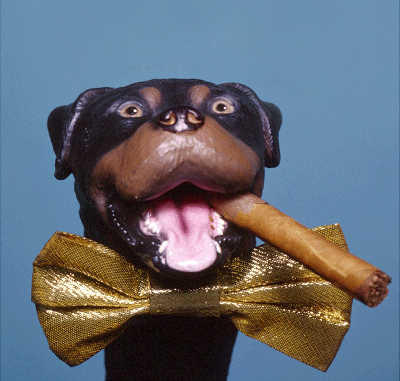Abe's Animals: Triumph, the Insult Comic Dog