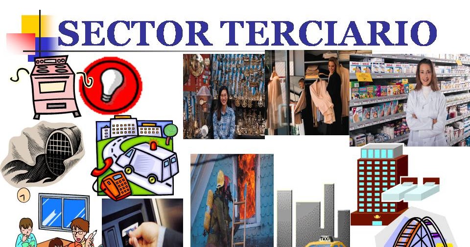 Economía Colombiana para Grado 5.: ¿Qué es el sector terciario o de ...