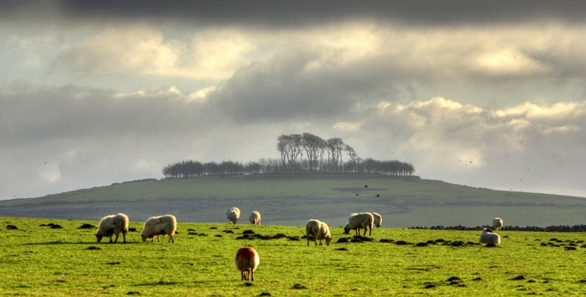 Minninglow - Alchetron, The Free Social Encyclopedia