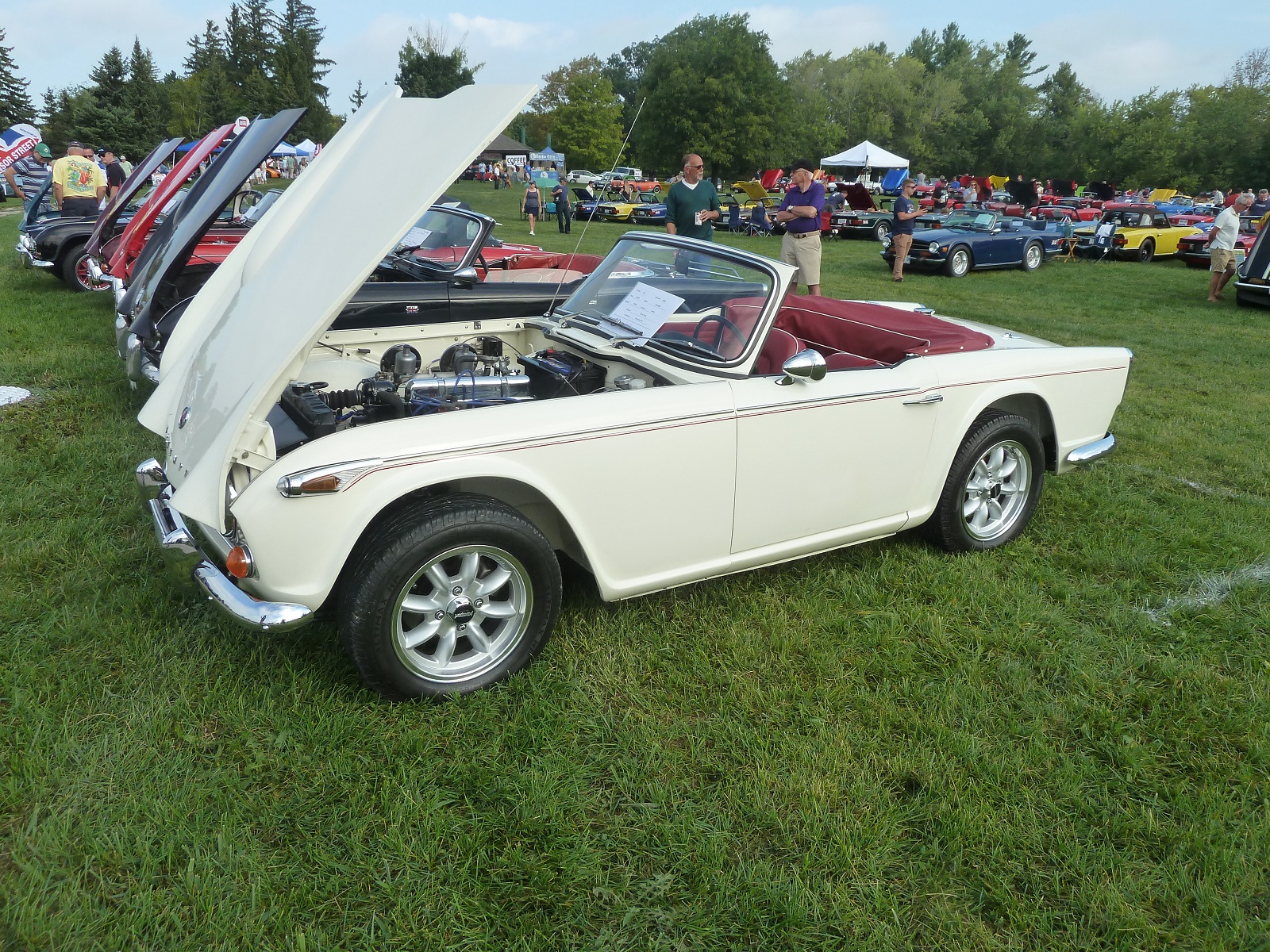 Progress is fine, but it's gone on for too long.: Triumph TR-6