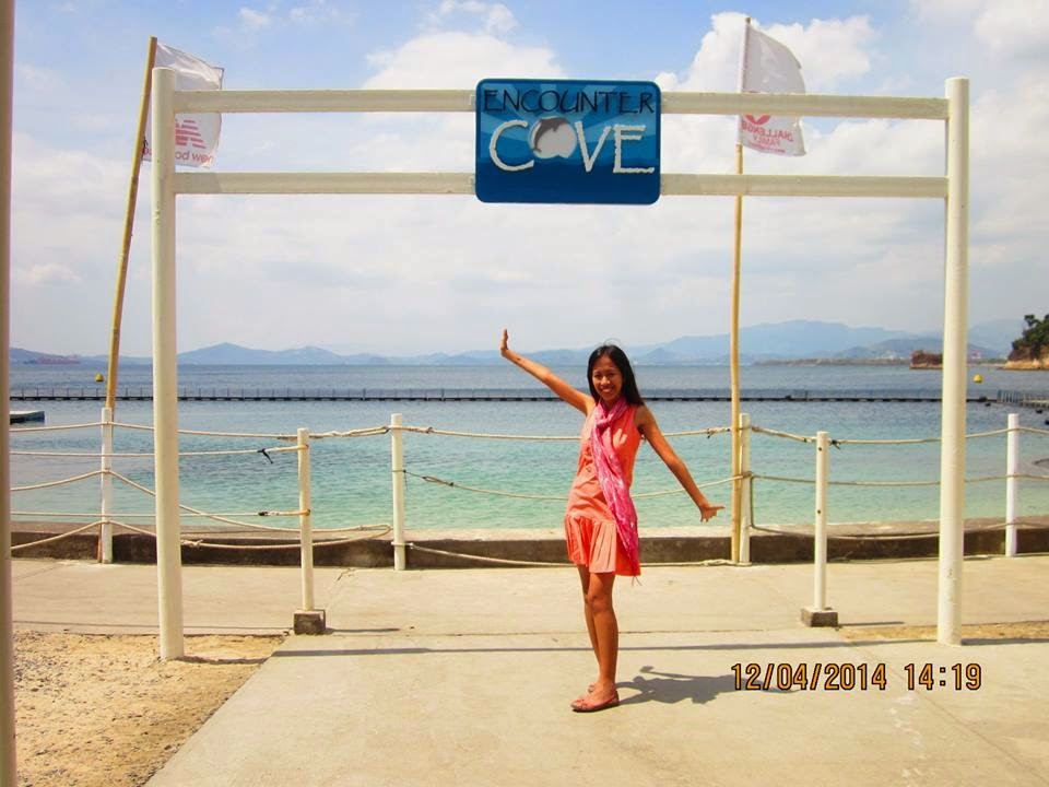 Dolphin watching and Sea lion encounter at Ocean Adventure, Subic Bay