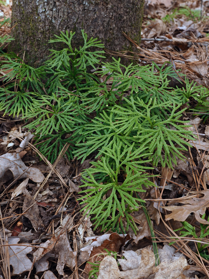 Exploring Scenic North Carolina