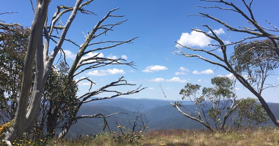 walkabouters club of victoria inc: Mount Tabletop