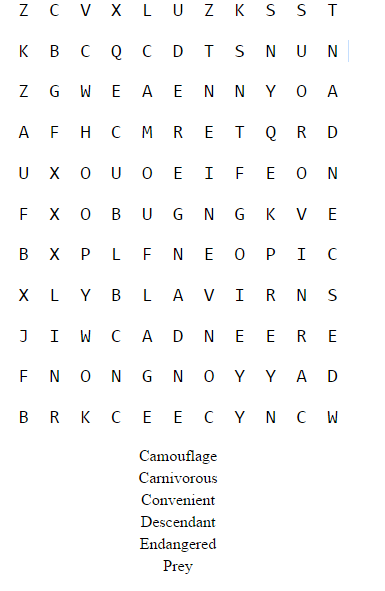 Ms. Pulella's Blog: Snow Leopards