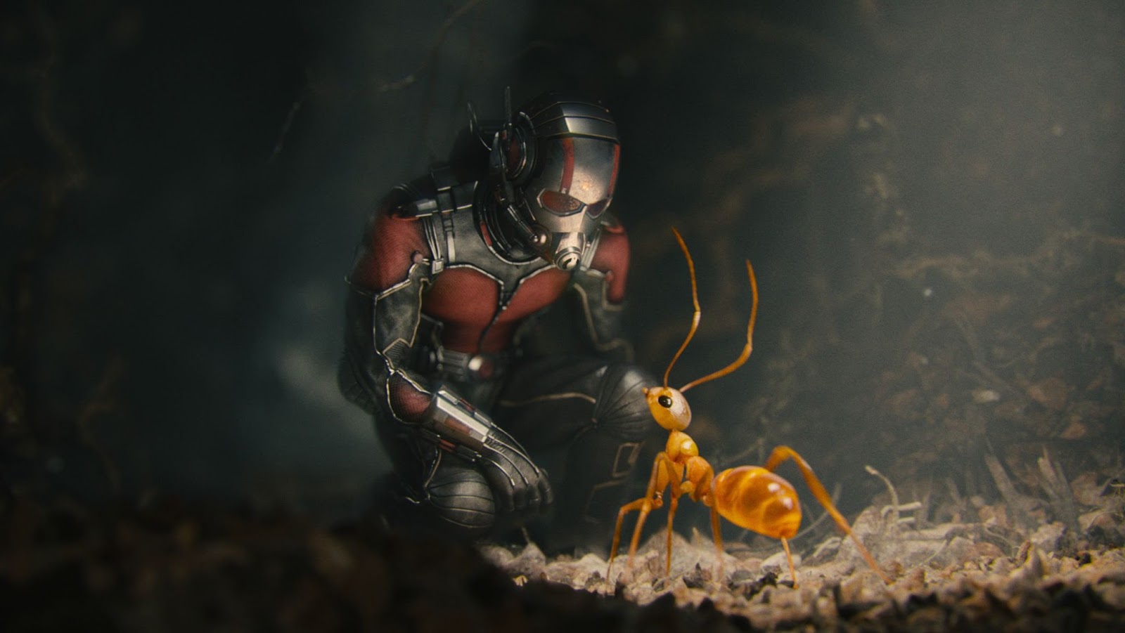 Nocturnia: ANT-MAN (2015)