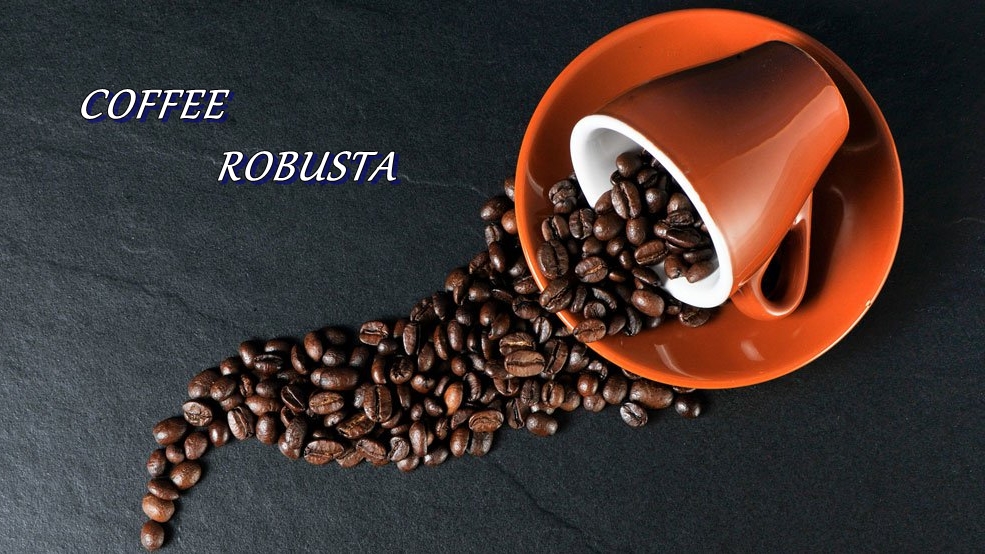 Kopi Robusta (Coffee Cannephora) - NoobBarista