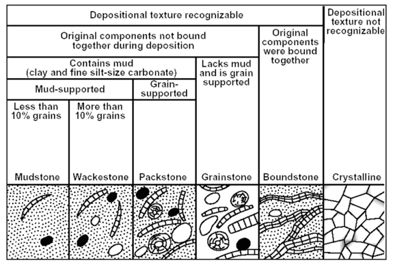 PENGERTIAN, KLASIFIKASI PENAMAAN DAN MIKROFASIES BATUGAMPING - DIVERGEN ...