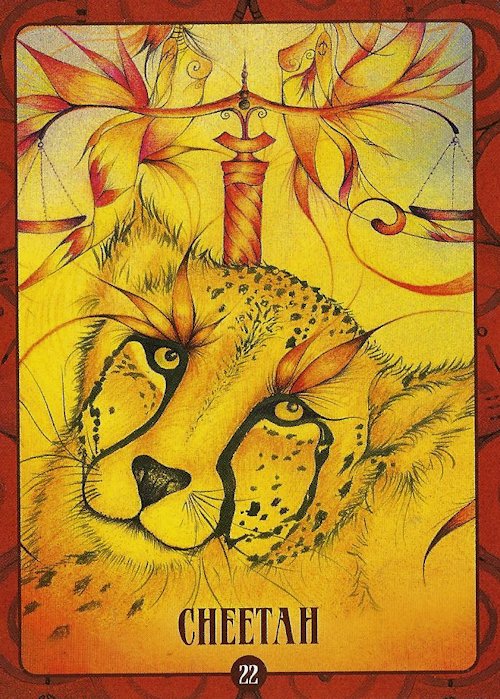 Tarot Notes: Listen to the Animals: Cheetah
