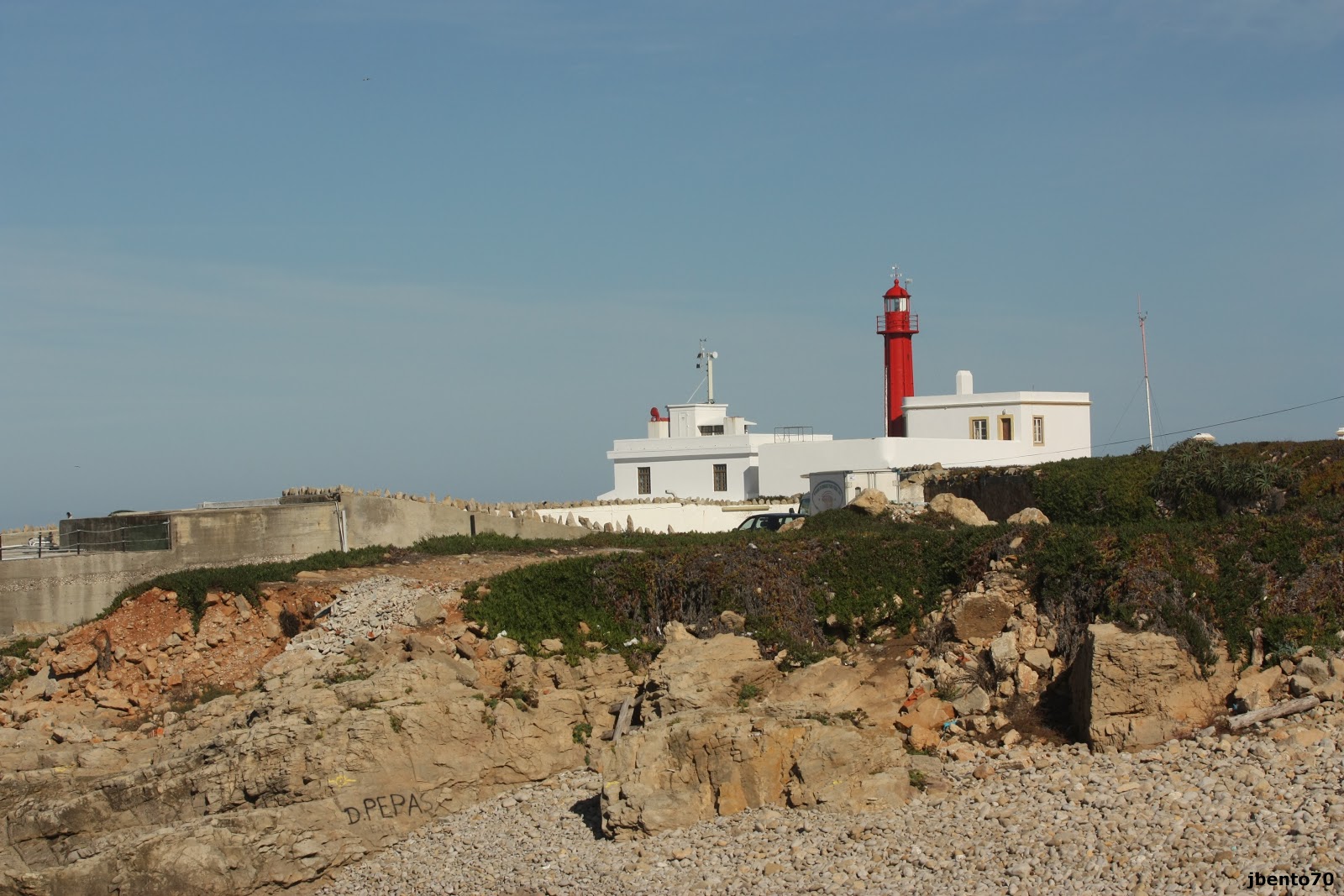 Birding Cascais: Aves marinhas no Cabo Raso