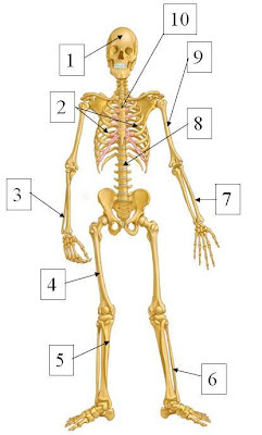 For Primary Kids: 2017