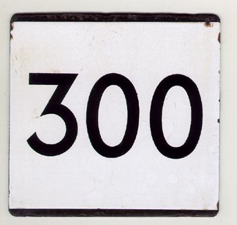 300th Post - The Mom of the Year