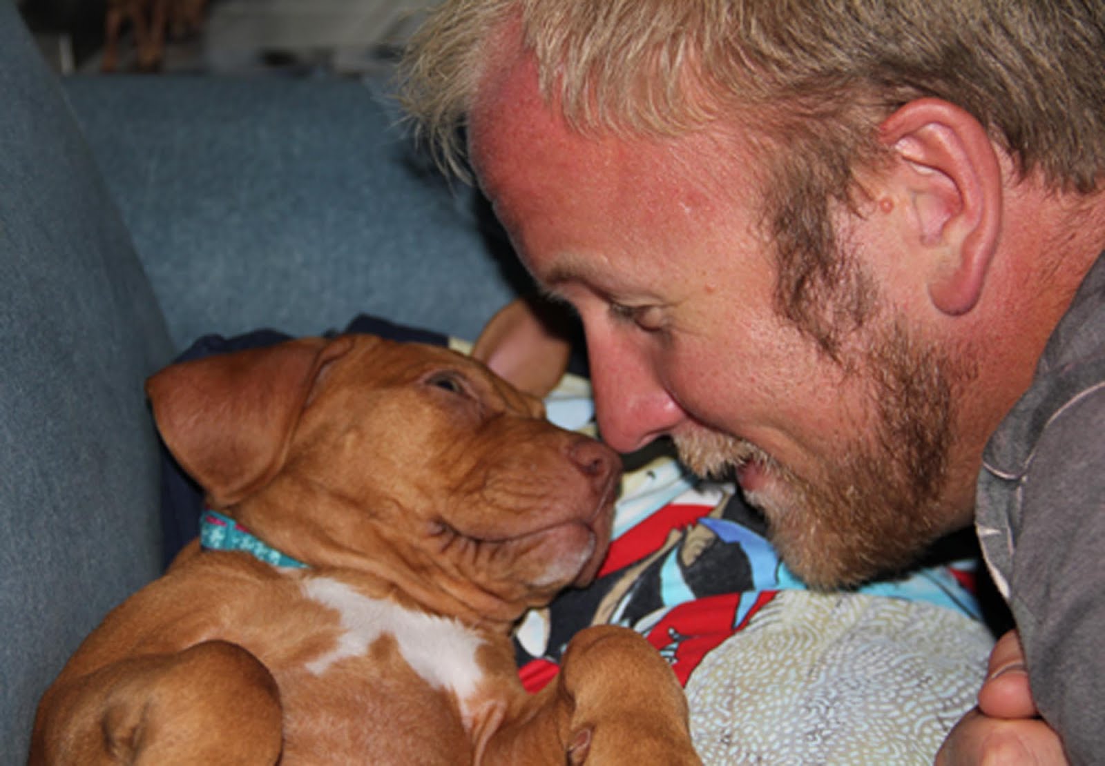 THE ADVENTURES OF SHARK GIRL : Meet Lusca: Our Little Sea Monster