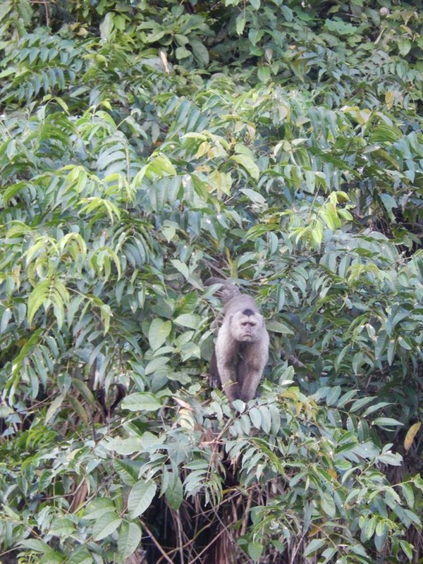 The Scoop on Soil: Sowing Seeds of Knowledge