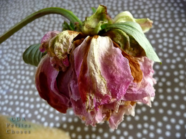 petites choses: juillet 2012