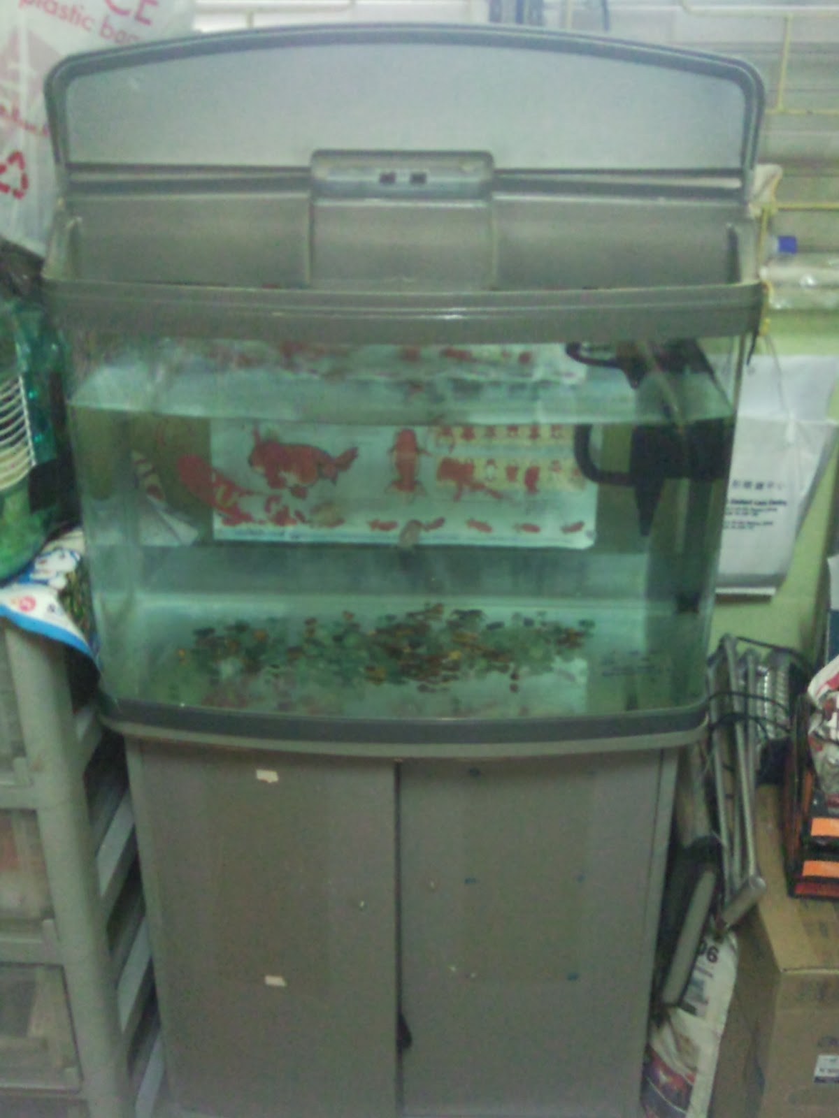 Tropical Fisher Man Fish Tanks And Aquarium CRS: Aquarium Home Multiple ...