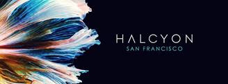 SF Nightlife, Restaurant Veteran Gina Milano Launches Halcyon an ...