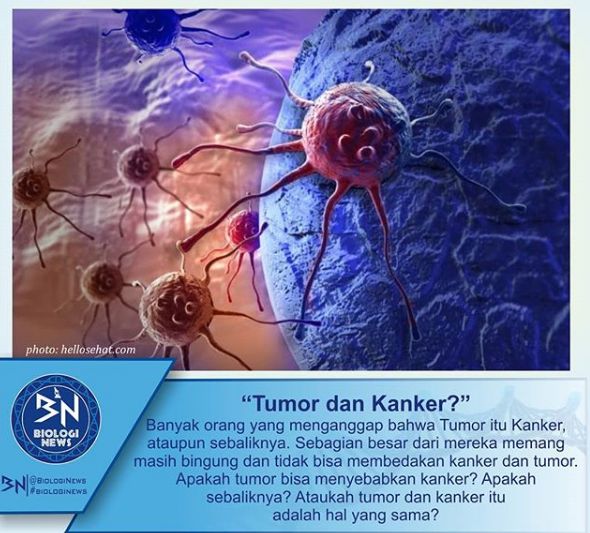 Tumor dan Kanker - BELAJAR BIOLOGI