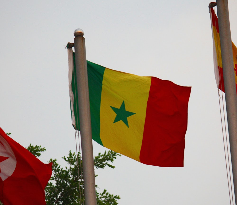 Graafix!: Flag of Senegal