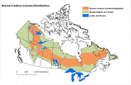 A Geologists Paragneiss!: Caribou Redux