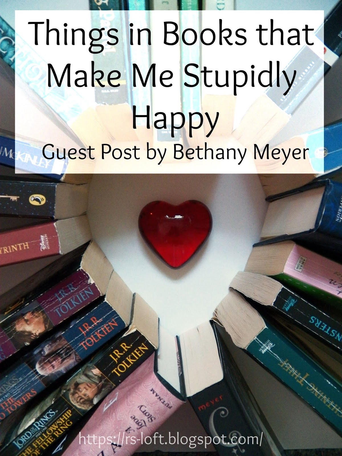 Things in Books that Make Me Stupidly Happy: Guest Post by Bethany Meyer