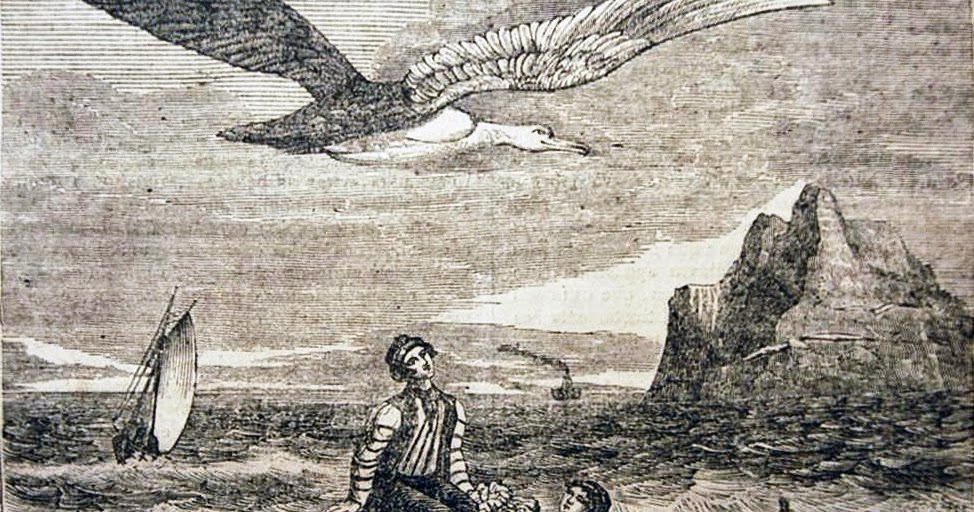 Channel Light Vessel: John and Marie Christine Ridgway: 50 years of ...