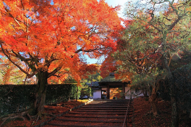 5 Kuil Kuno Bersejarah di Jepang dengan Pemandangan Ciamik