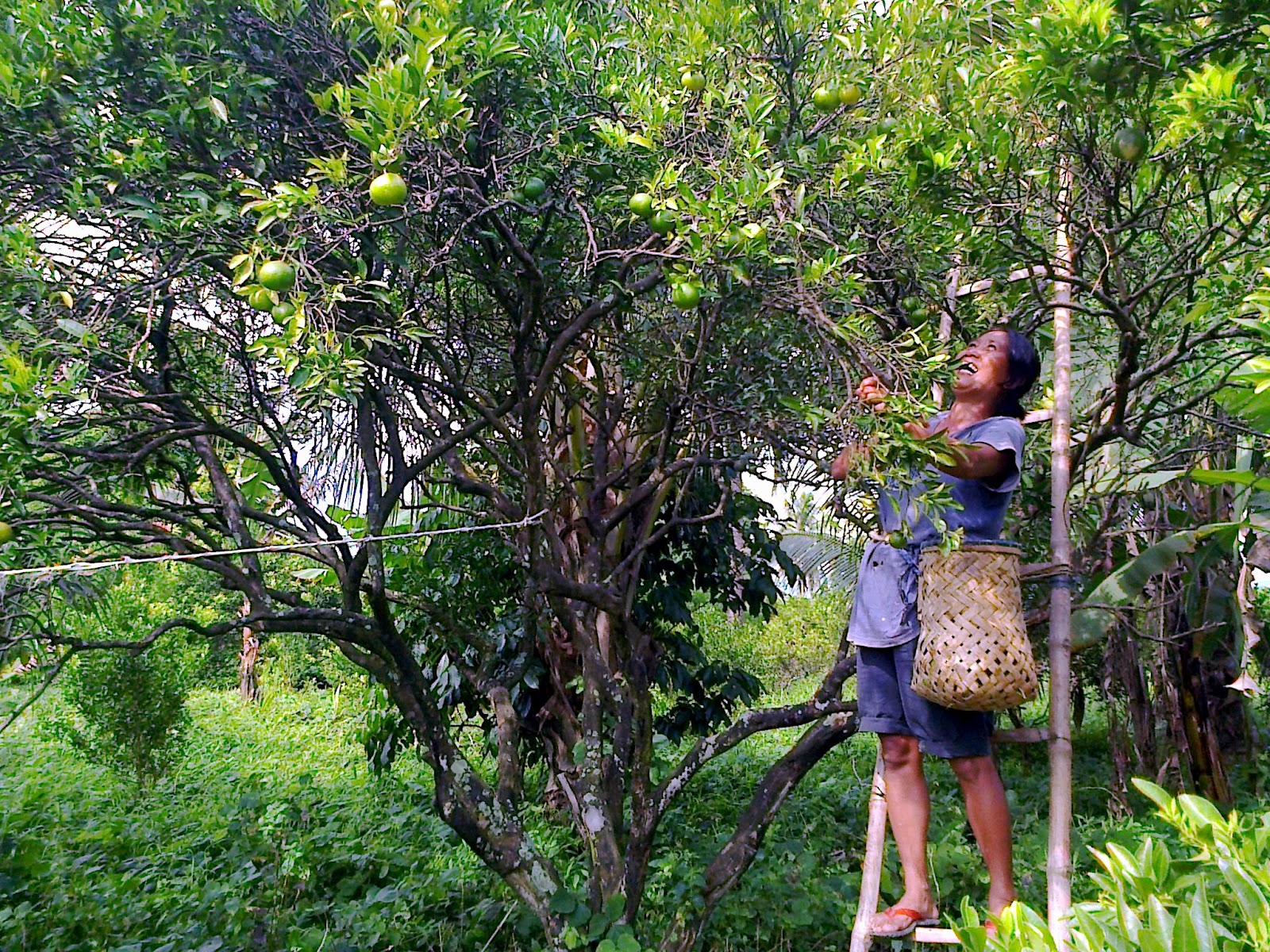 A Simple Life within 24 Hours