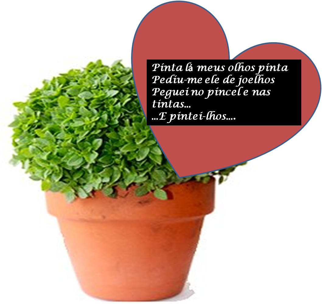 Manjericos Quadras Santos Populares - Producao De Manjericos Na Maia ...