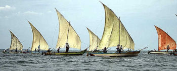 "Sampath Speaking" - the thoughts of an Insurer from Thiruvallikkeni ...