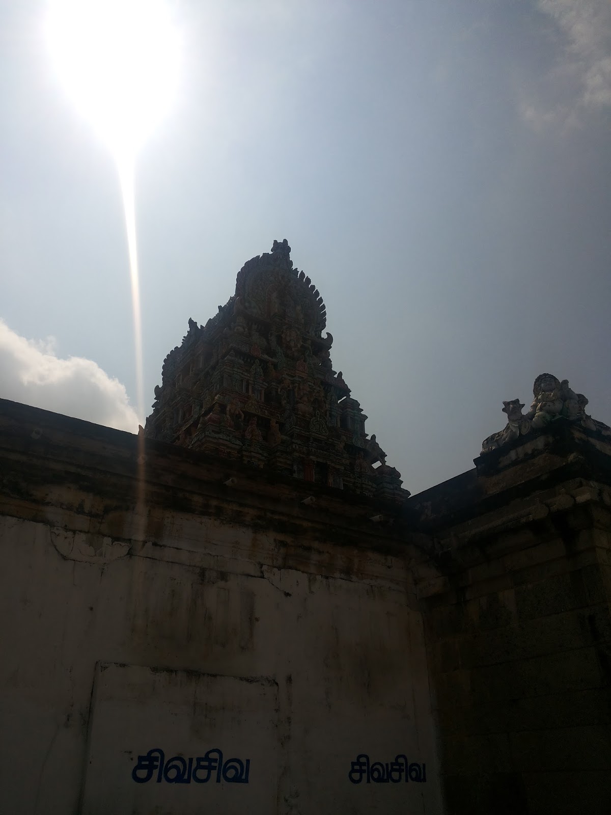 The Art Lover: Mayavaram Mayuranathar or Mayureshwarar