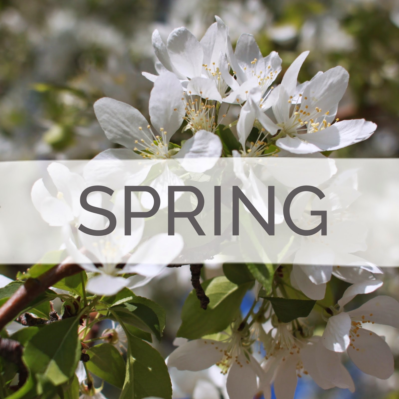 keep it simple, schlossers: Toddler Theme: Spring