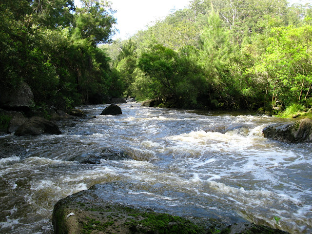 Darren M: UPPER NEPEAN PACKRAFTING