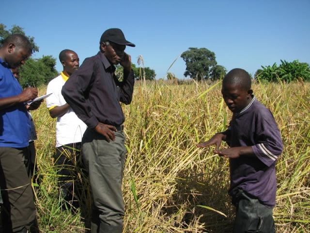 ZIARA YA MKUU WA MKOA WA MOROGORO WILAYA ZA KILOMBERO NA ULANGA ...